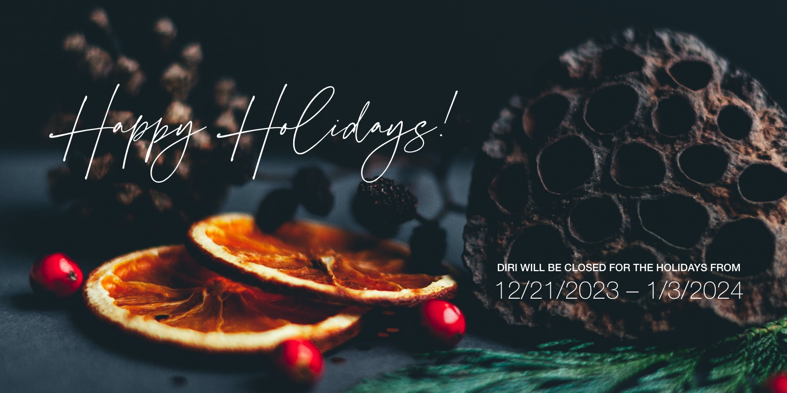 Home - Dr. Ida Rolf Institute